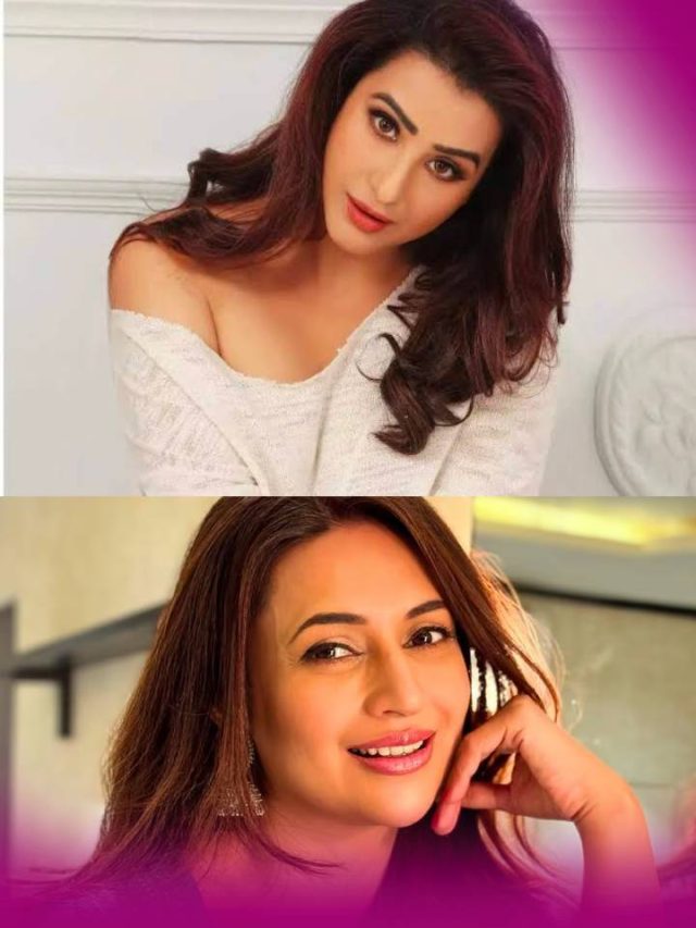 टीवी की 7 फेमस हसीनाएं जो इंडस्ट्री से हुईं गायब - E24 Bollywood