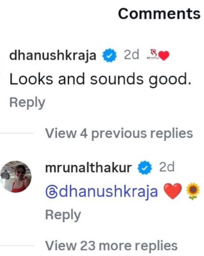 Rajinikanth के एक्स दामाद की पत्नी बनेंगी Mrunal Thakur? Dhanush के ...